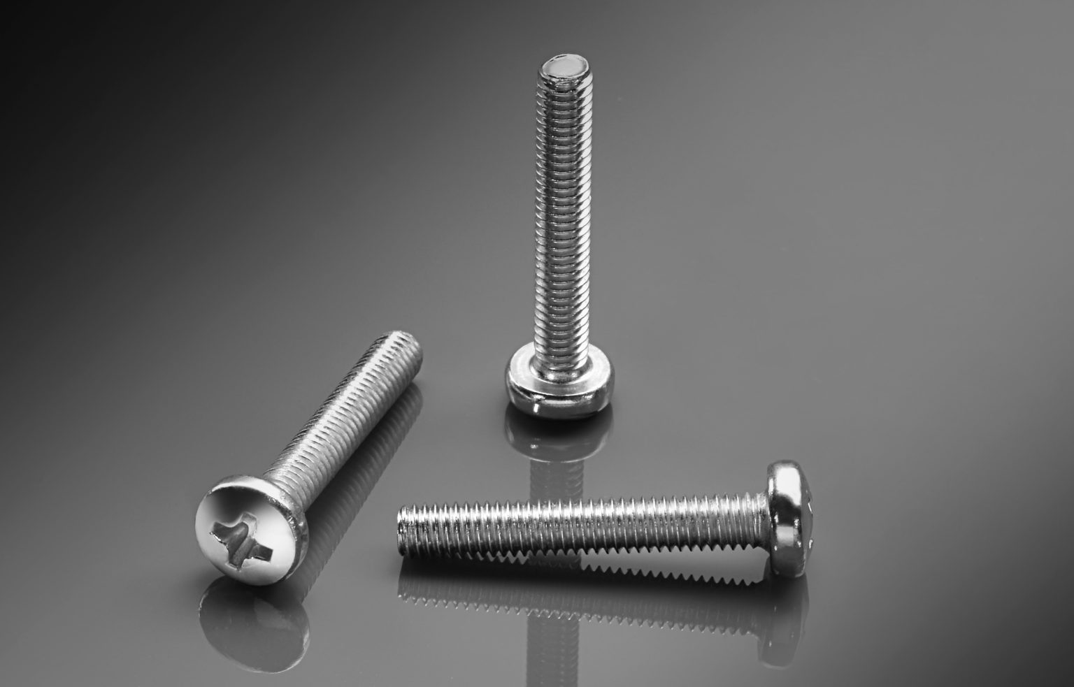 Viti in acciaio inox | KILTON