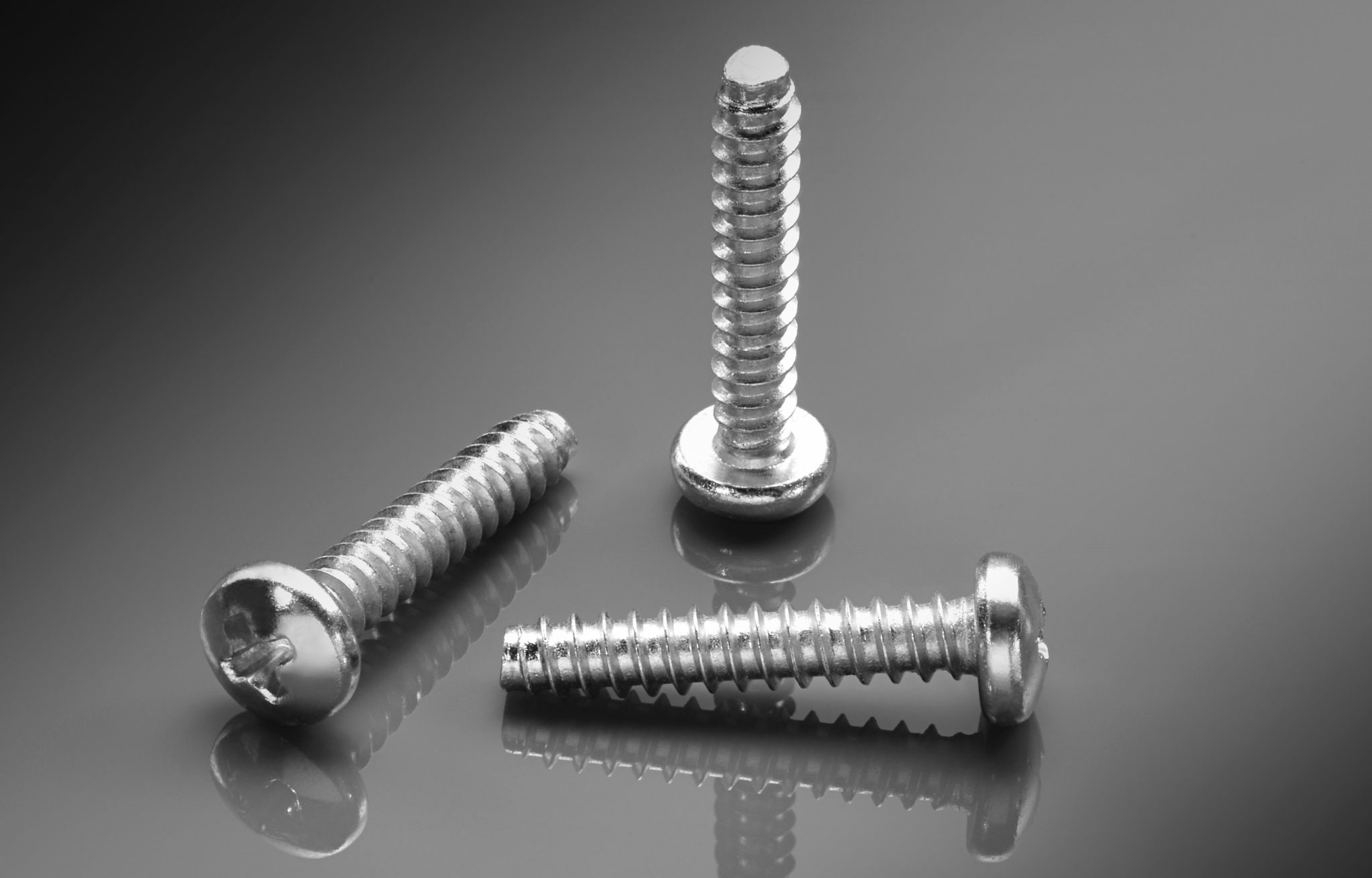 Stainless steel screws | KILTON