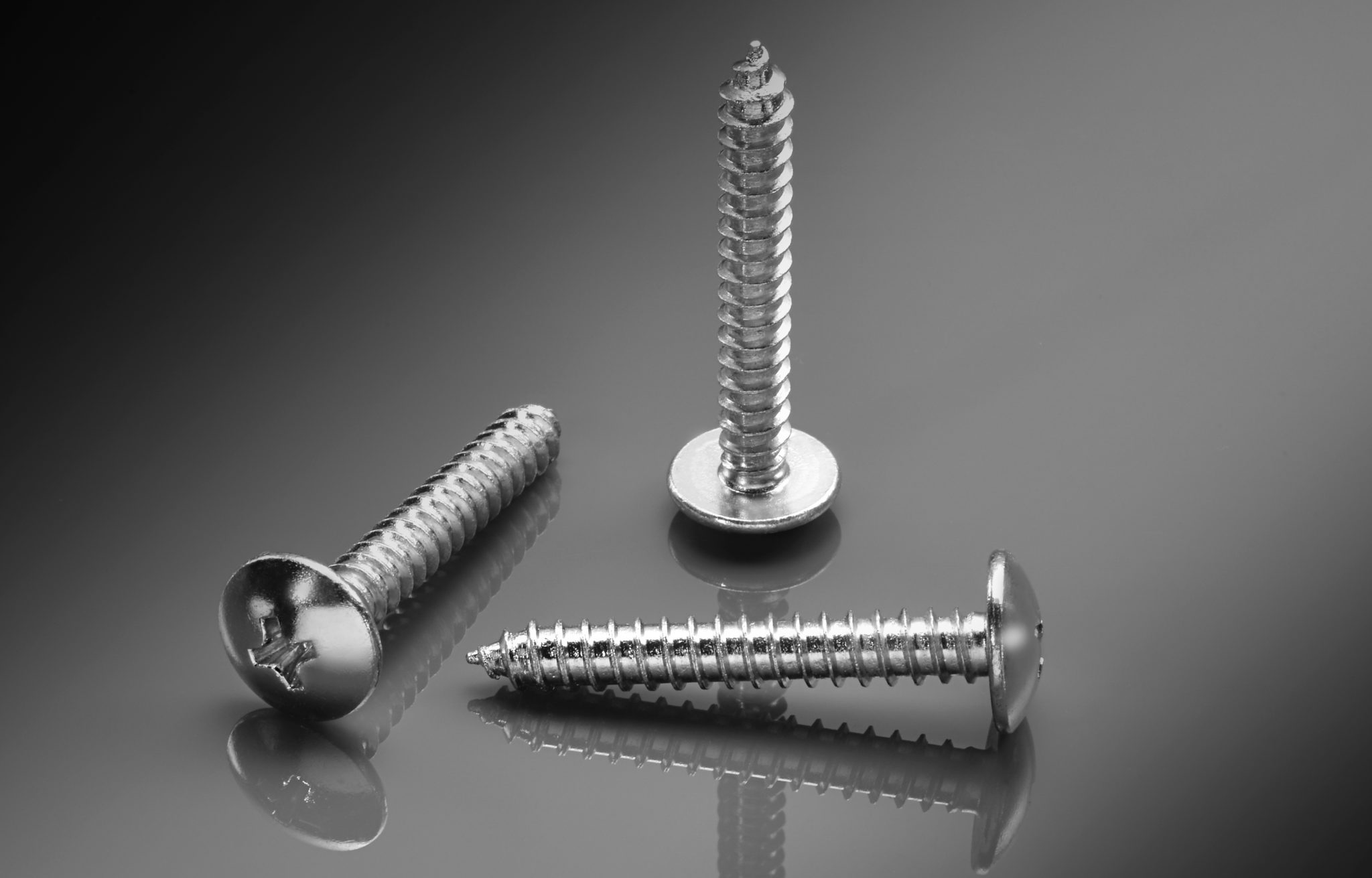 Viti in acciaio inox | KILTON