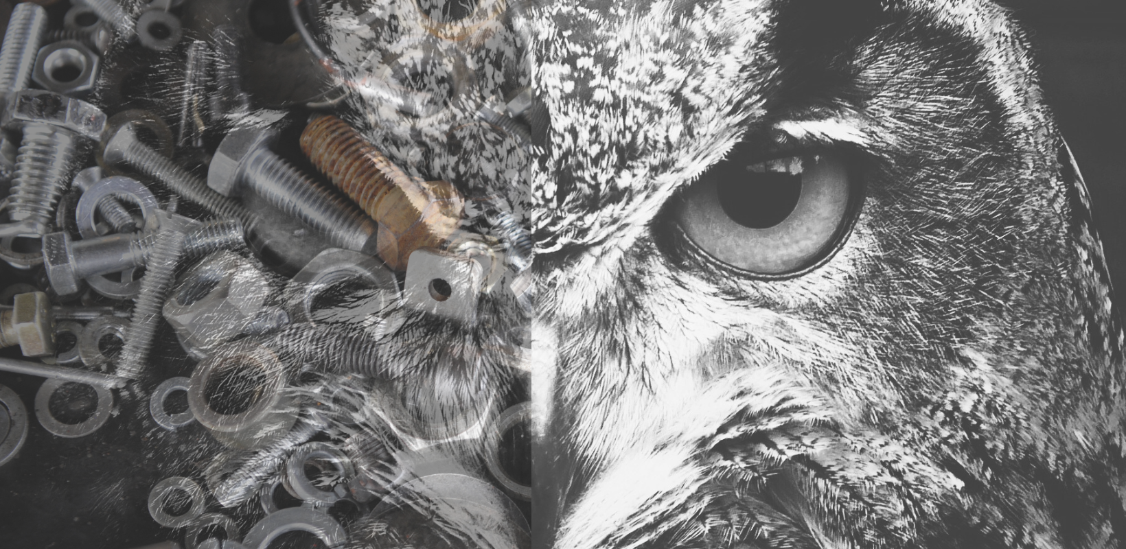 Screws, Bolts and Art with Chris Cole - Kilton